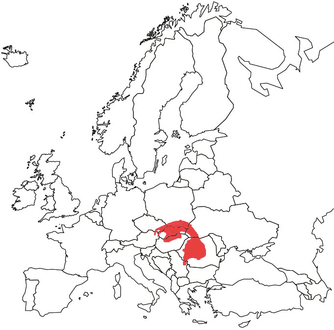Karpaty - Las Cumbres